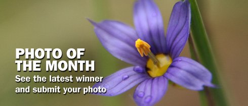 August Photo of the Month - Nature Canada