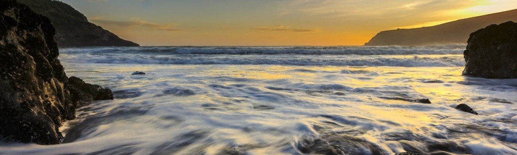 Happy World Oceans Day! - Nature Canada