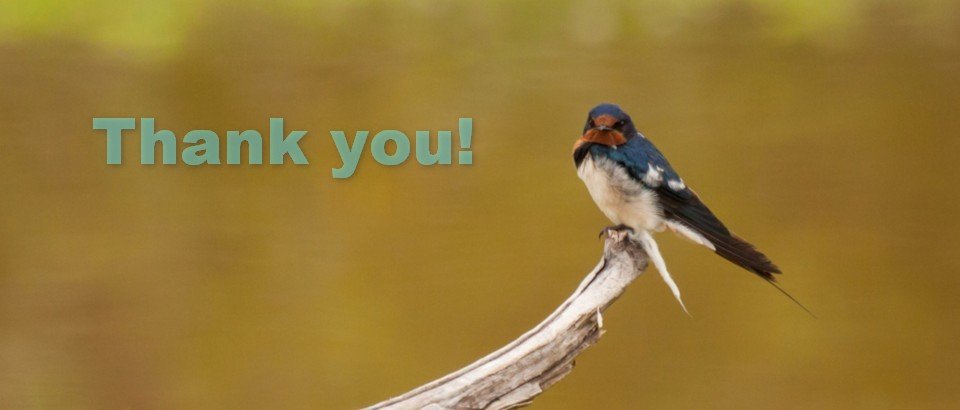Upcoming Events to Welcome Back Birds to the National Capital Region ...