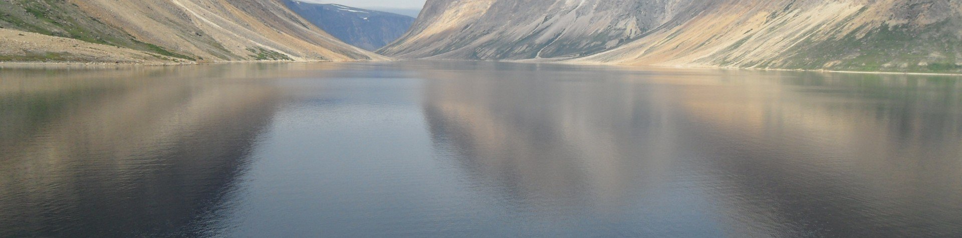 9 things you didn’t know about Newfoundland and Labrador - Nature Canada