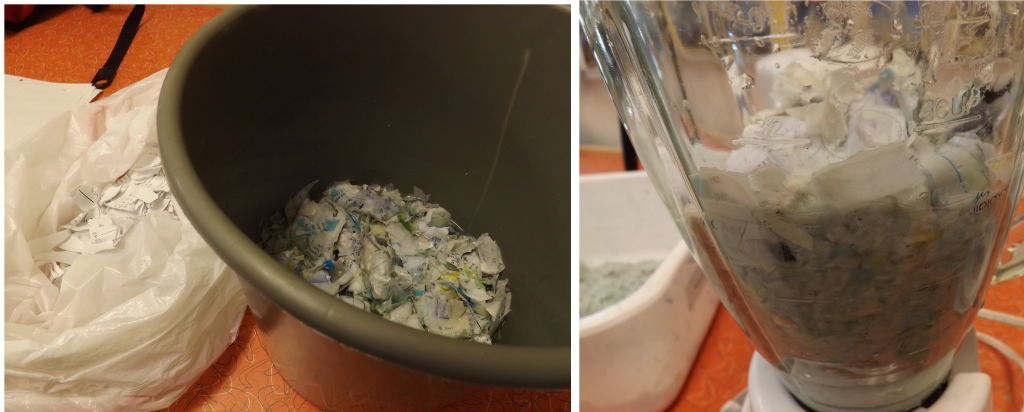 6 steps to making your own seed paper - Nature Canada