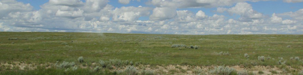Trudeau Government should Protect Grasslands - Nature Canada