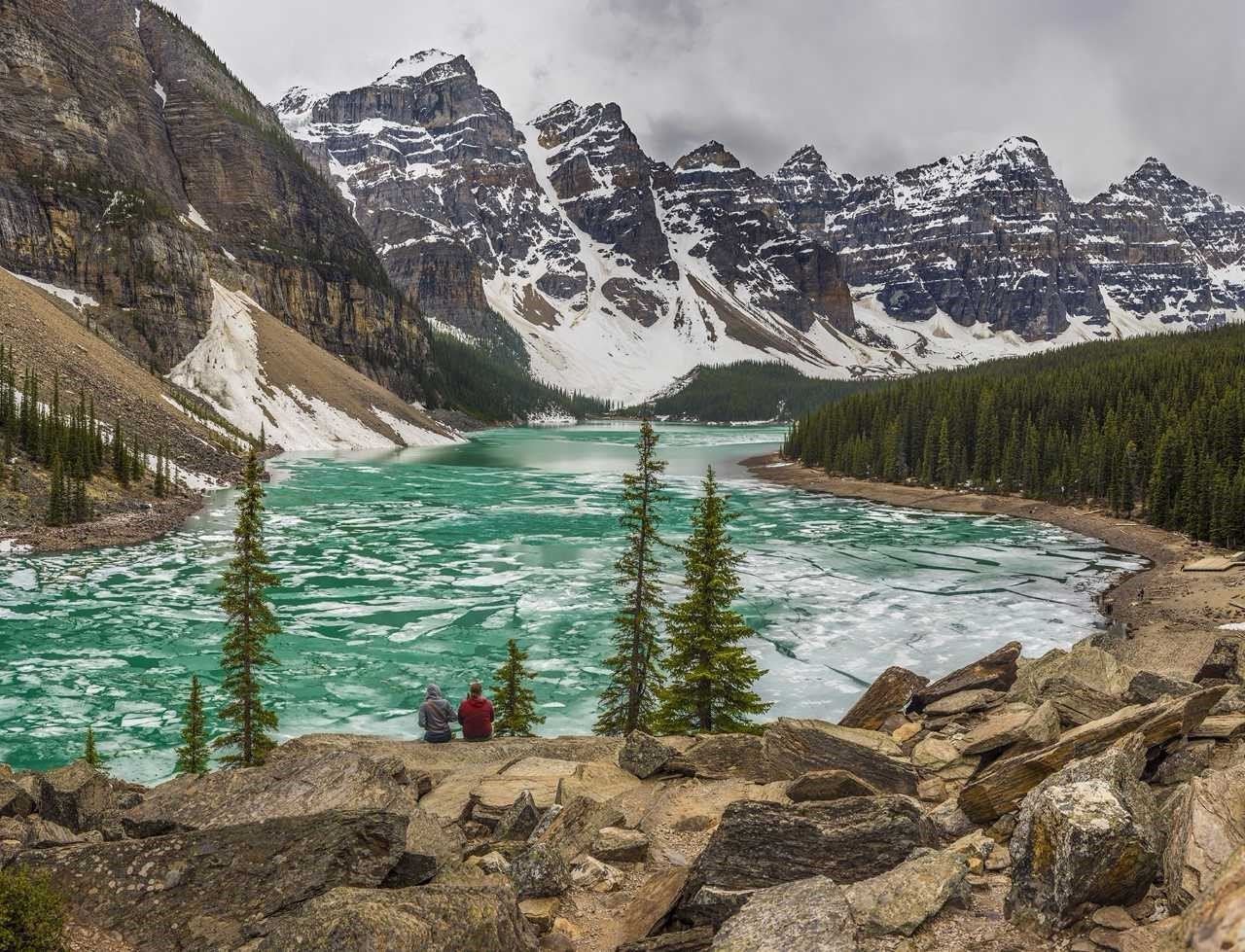 Nurture Our Nature This Holiday Season! - Nature Canada