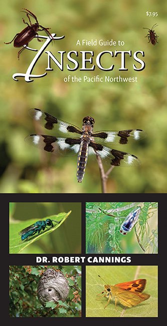 A Field Guide to Insects of the Pacific Northwest - Nature Canada
