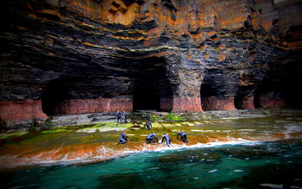 Ocean Quest: Diving into Newfoundland's hidden gems - Nature Canada
