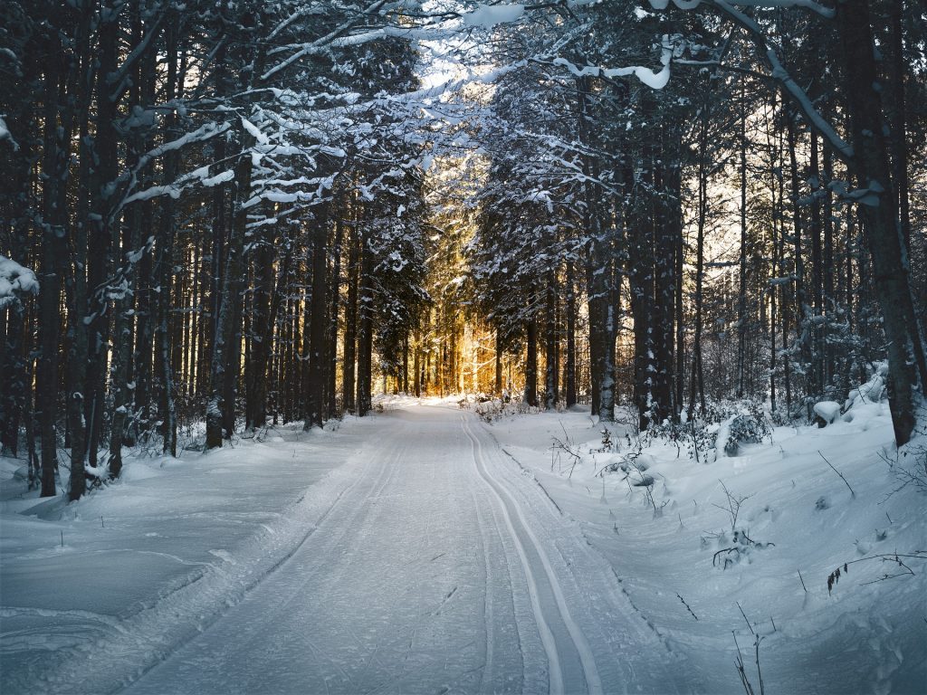 Take Them to Feel the Forest: Winter Sensory Activities for Kids ...