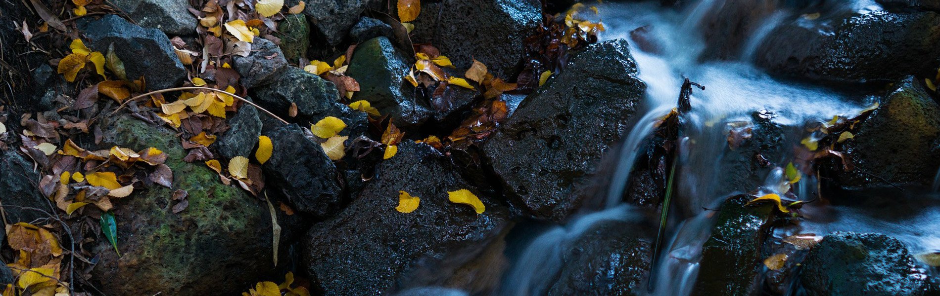 How Nature Supports a Sense of Belonging and Well-being - Nature Canada