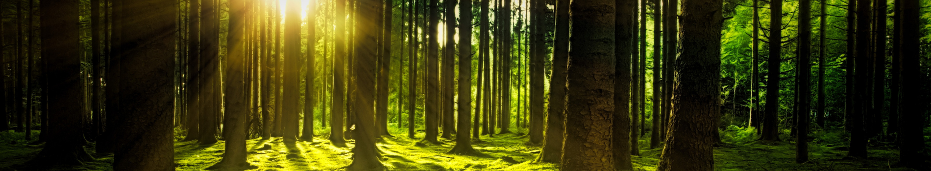 Get Your Kids into the Spirit of Earth Day with these 6 TV Episodes ...