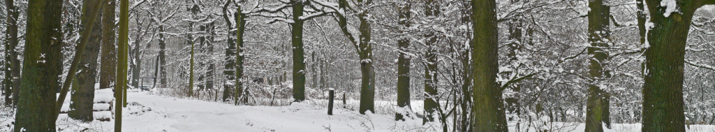 Getting out into nature is for the birds - Nature Canada