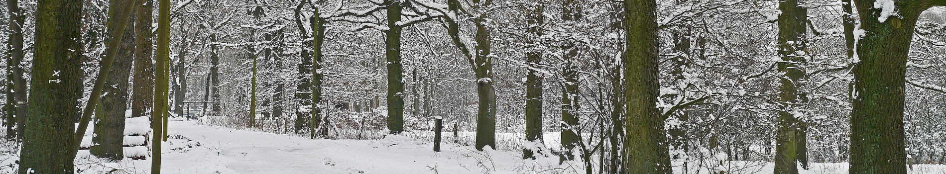 Spring Break in Nature