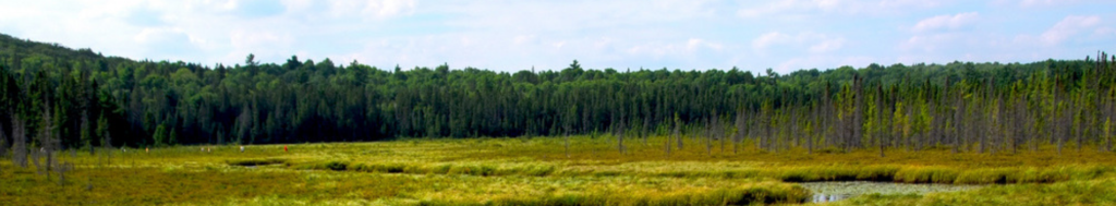 Nature-based Solutions to Spring Flooding - Nature Canada