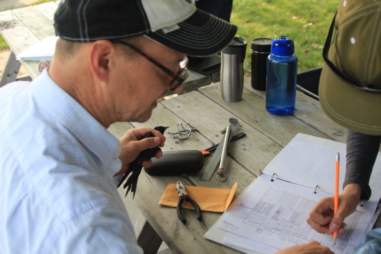 Motus Tag Trip a Success! - Nature Canada