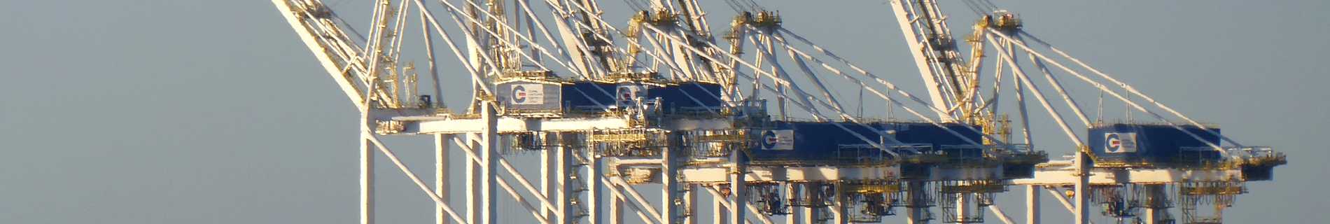 The Fraser Delta – Importance for shorebirds - Nature Canada