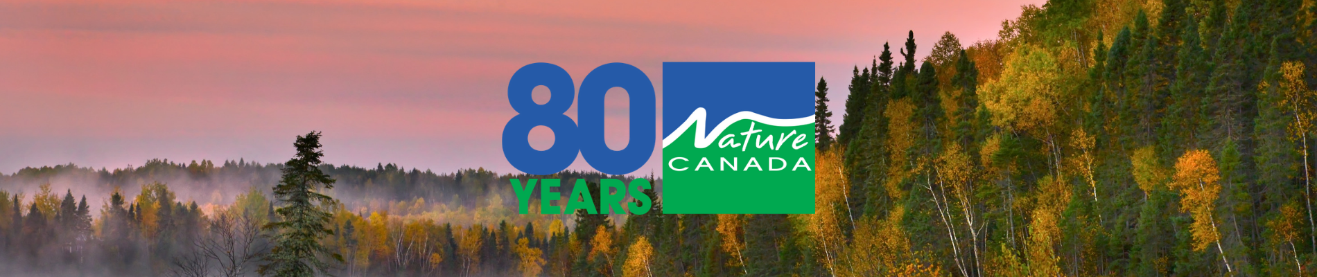 80 years of big accomplishments - Nature Canada