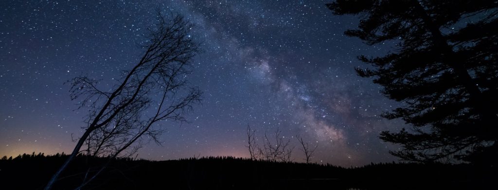 6 Tips for Spotting Nocturnal Creatures - Nature Canada