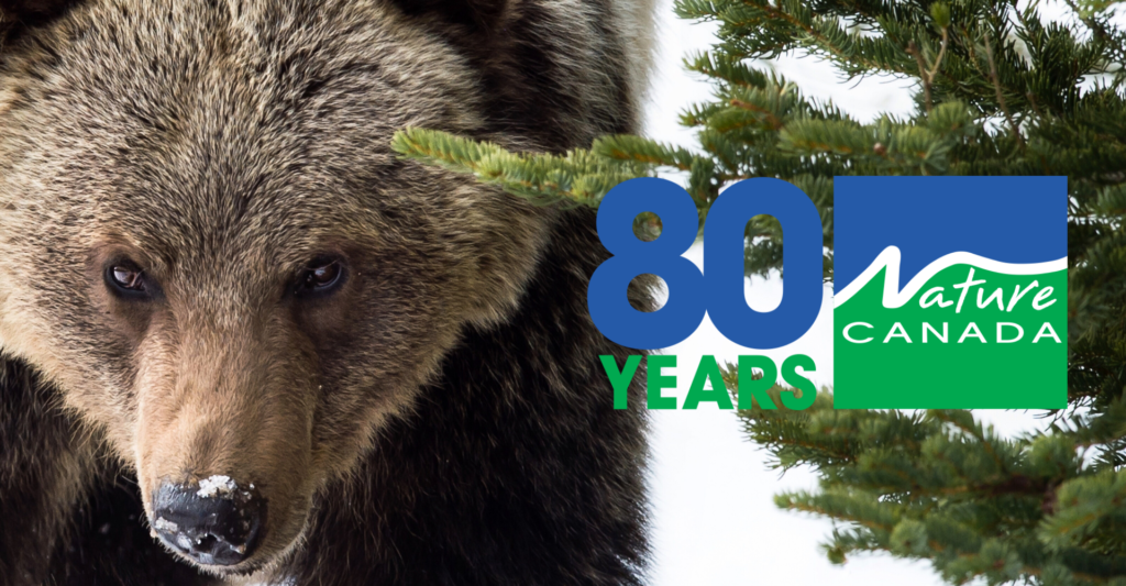 Celebrating eight decades of protecting nature - Nature Canada