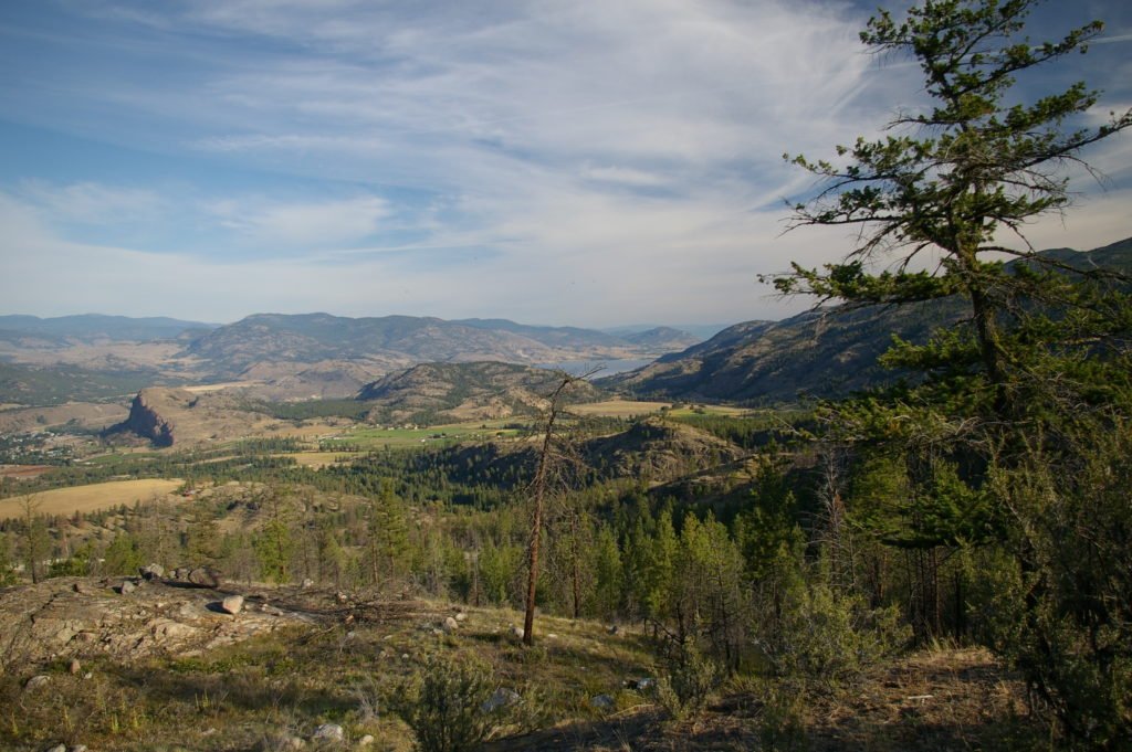 United Nations Biodiversity Summit - Nature Canada