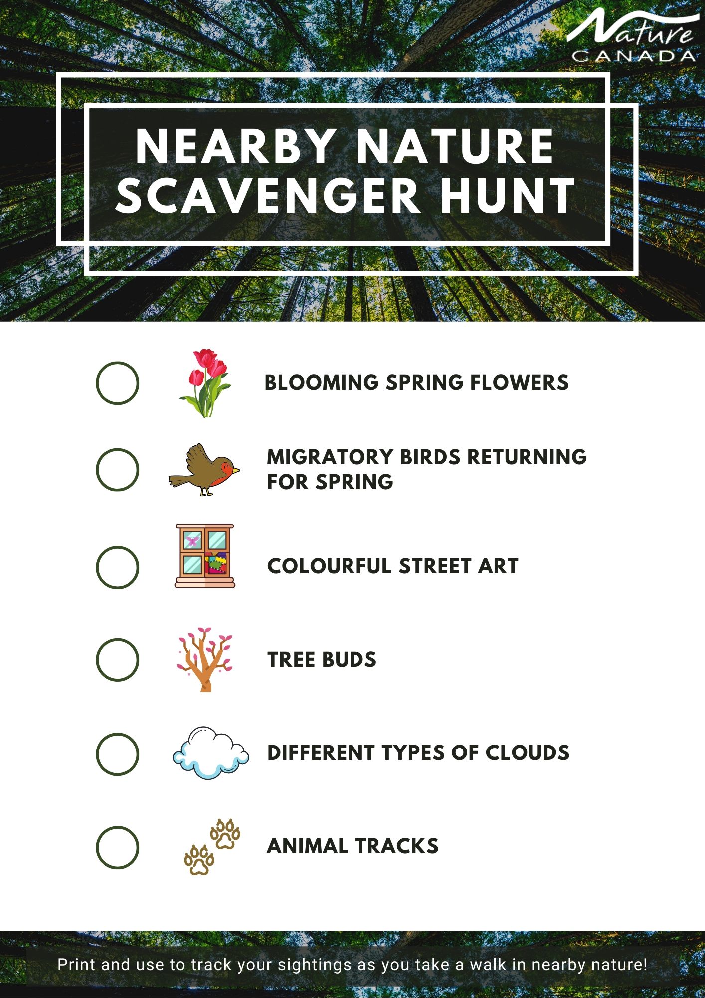 Can You Find These 6 Things in Your Nearby Nature? - Nature Canada