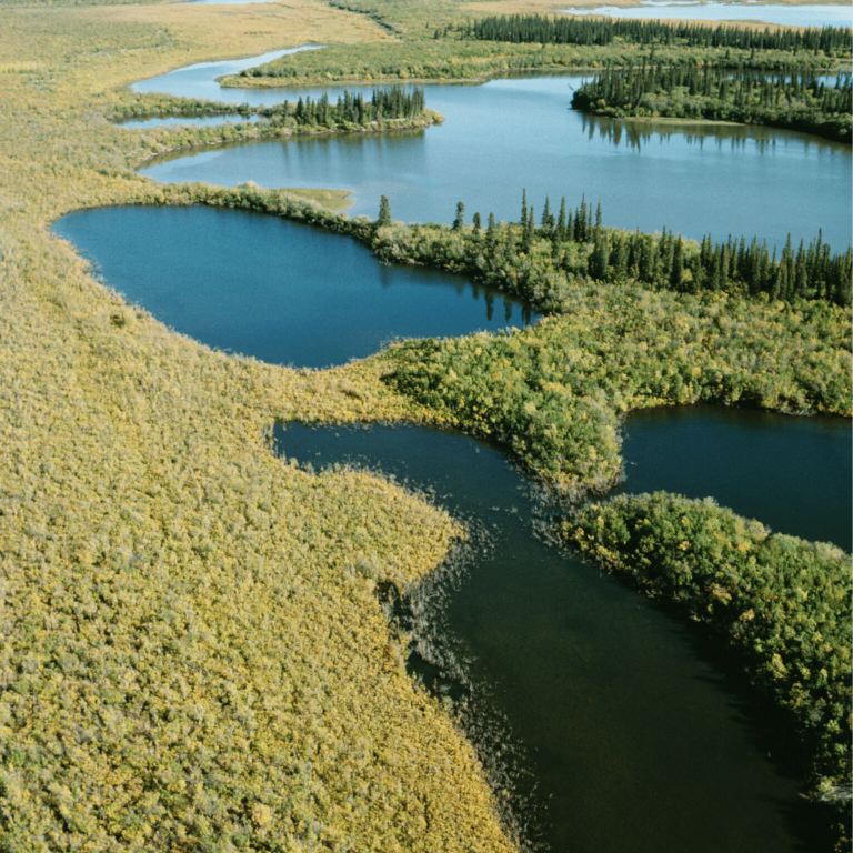 Restoration - Nature Canada
