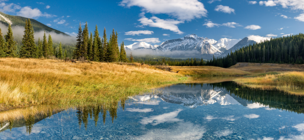 Advancing Nature-Based Climate Solutions in Your Community (Webinar)