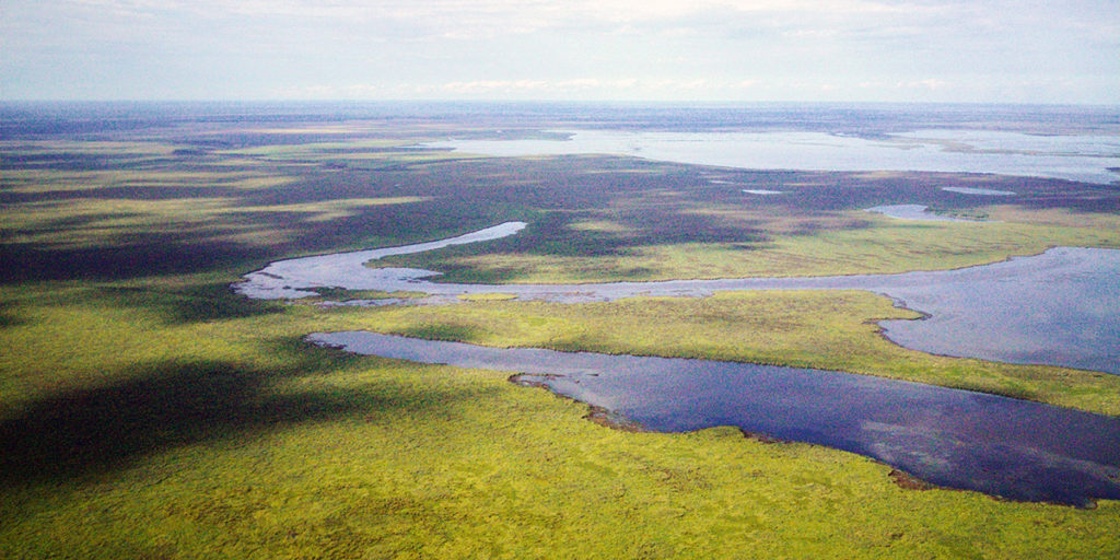 Celebrate Biodiversity Day! - Nature Canada