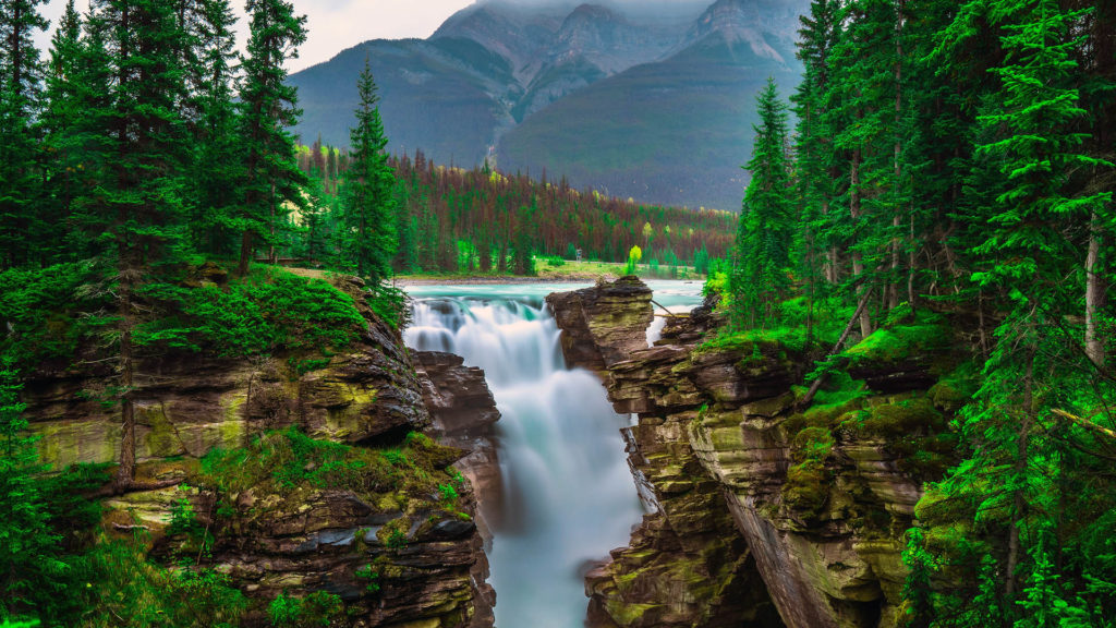 First Environmental Racism Bill Closer to Becoming Law - Nature Canada