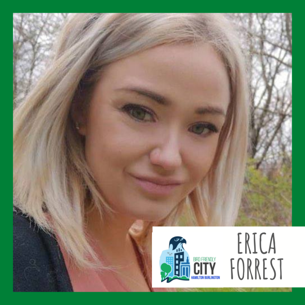 Bird Team Spotlight: Hamilton/Burlington, Ontario - Nature Canada