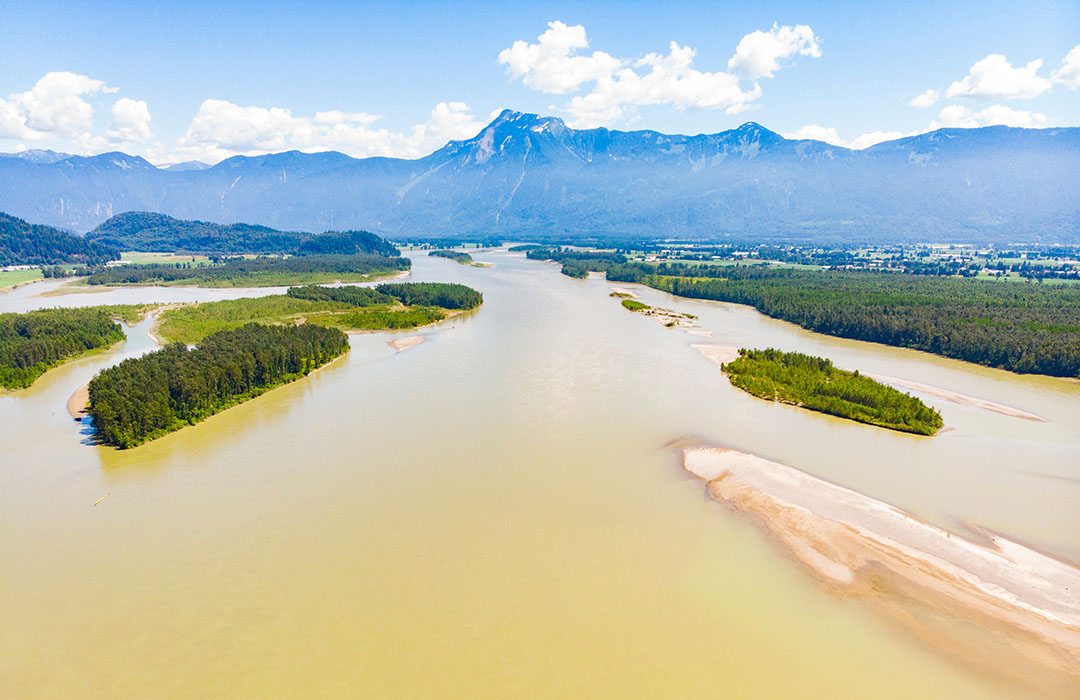 5 Reasons to Hate the Fraser River (Debunked) - Nature Canada