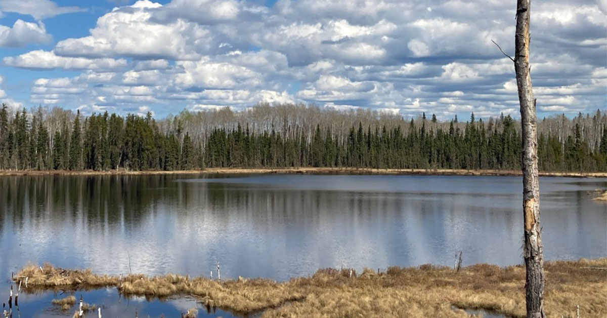 What Are Protected Areas? - Nature Canada