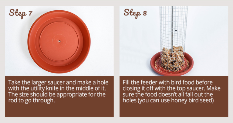 Do It Yourself: Wire Mesh Bird Feeder - Nature Canada