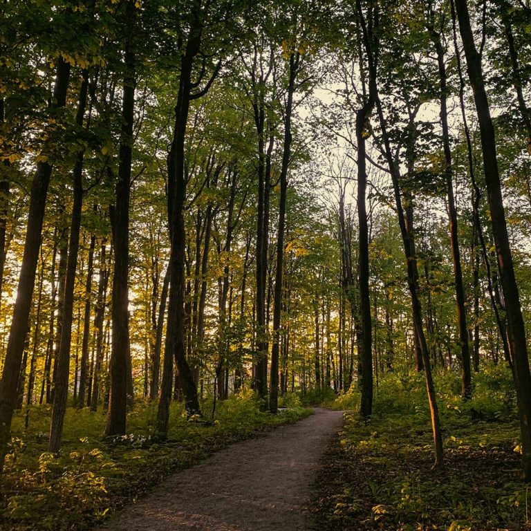Get to know Women for Nature member Nora Livingstone - Nature Canada