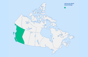 Vancouver Island Marmot - Nature Canada