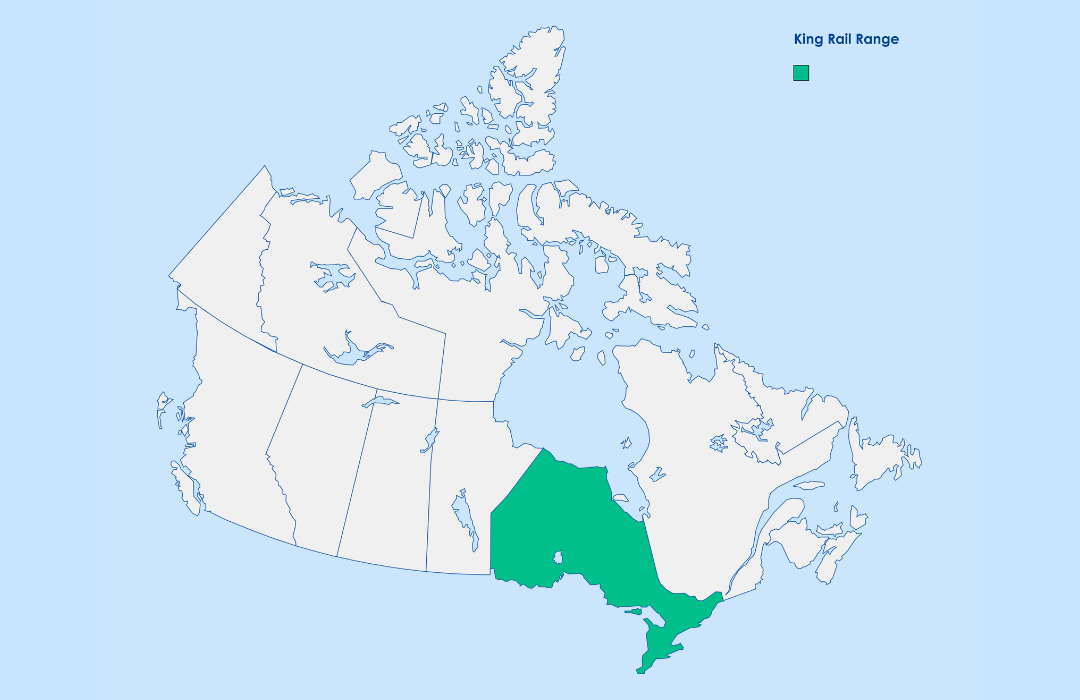 King Rail - Nature Canada