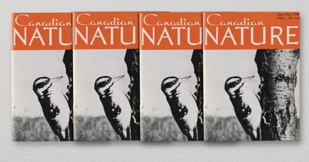 From the Archives: Meet the first-ever guest on the cover of the ...