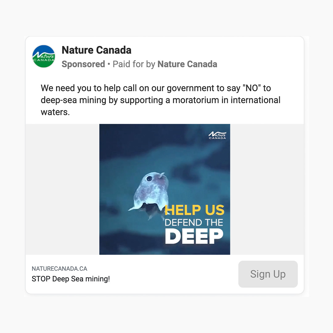 A Win for Ocean Defenders! Canada’s Leaders Call for Deep-Sea Mining ...