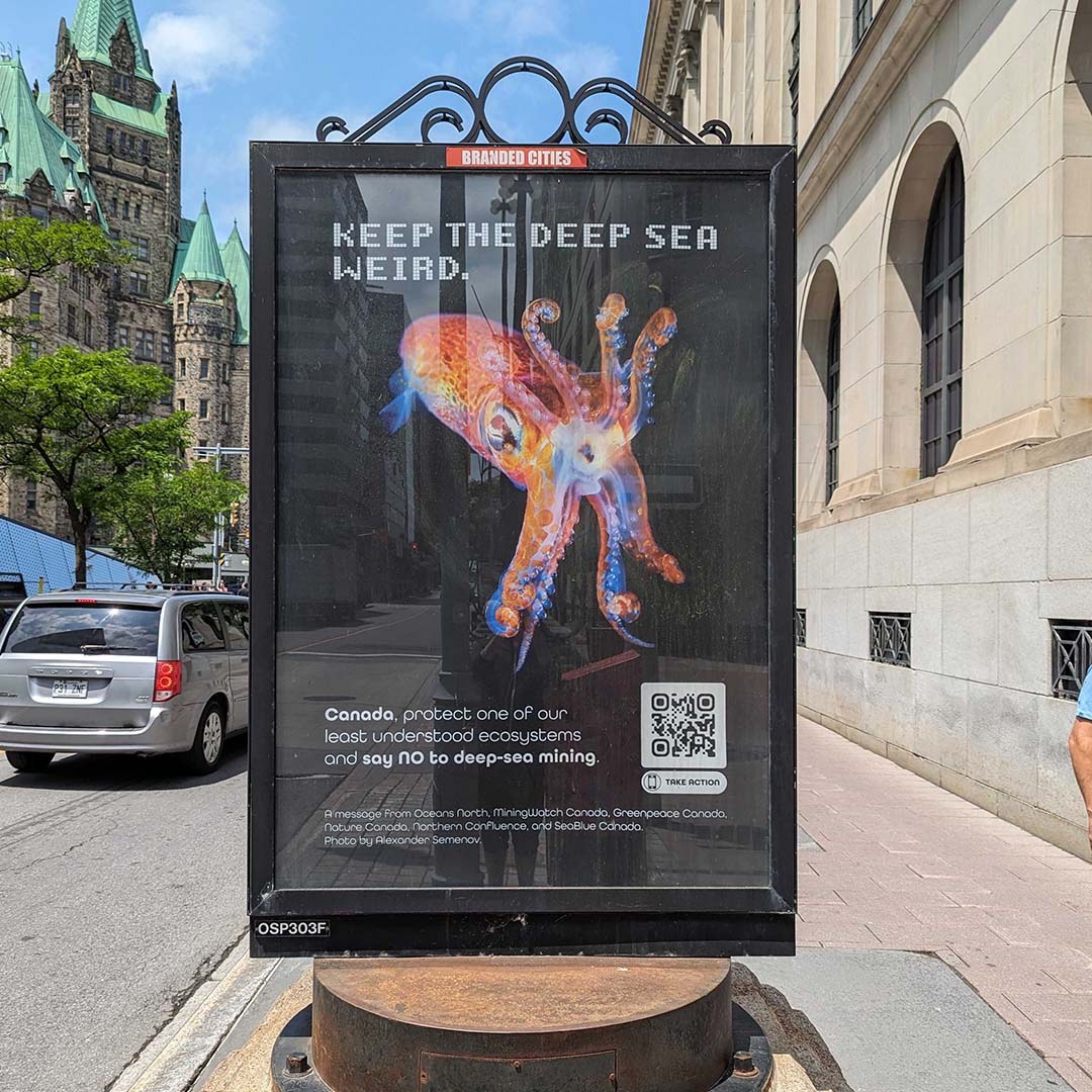 A Win for Ocean Defenders! Canada’s Leaders Call for Deep-Sea Mining ...