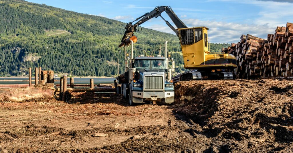 Wildfires and Clear-Cut Logging Are Destroying Canada’s Boreal Forests ...