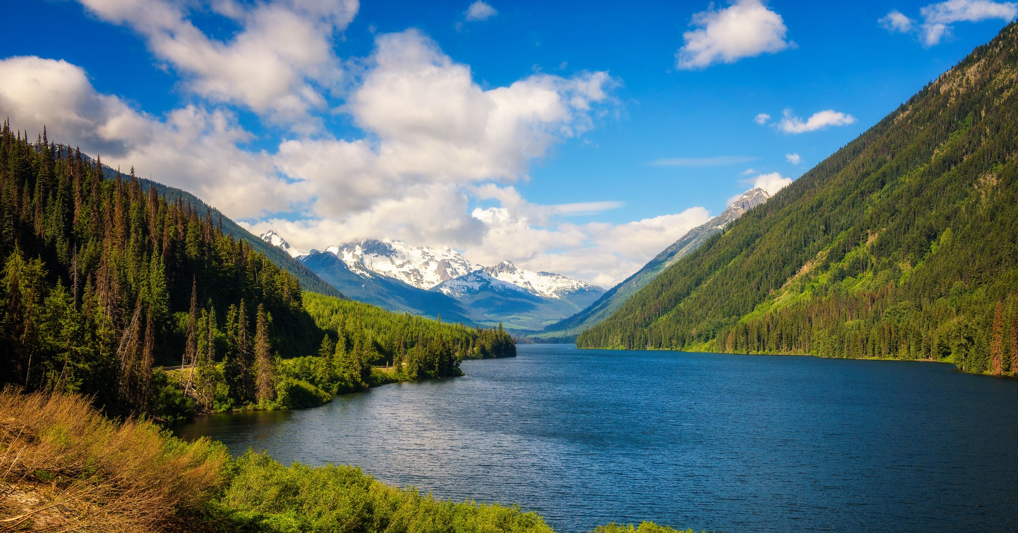 Nature Canada Extremely Optimistic About BC Nature Agreement Announced ...