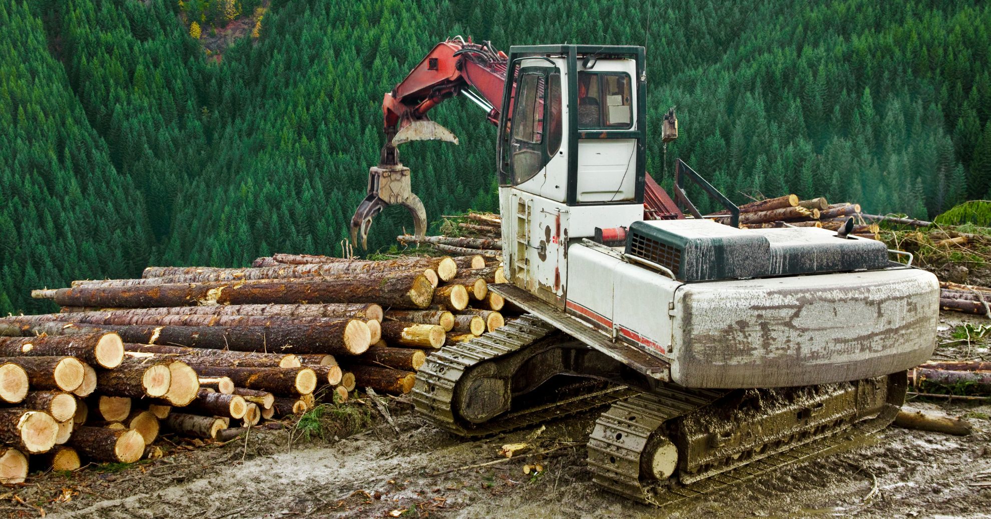 New Research Finds Canada Understating GHG Emissions From Logging ...