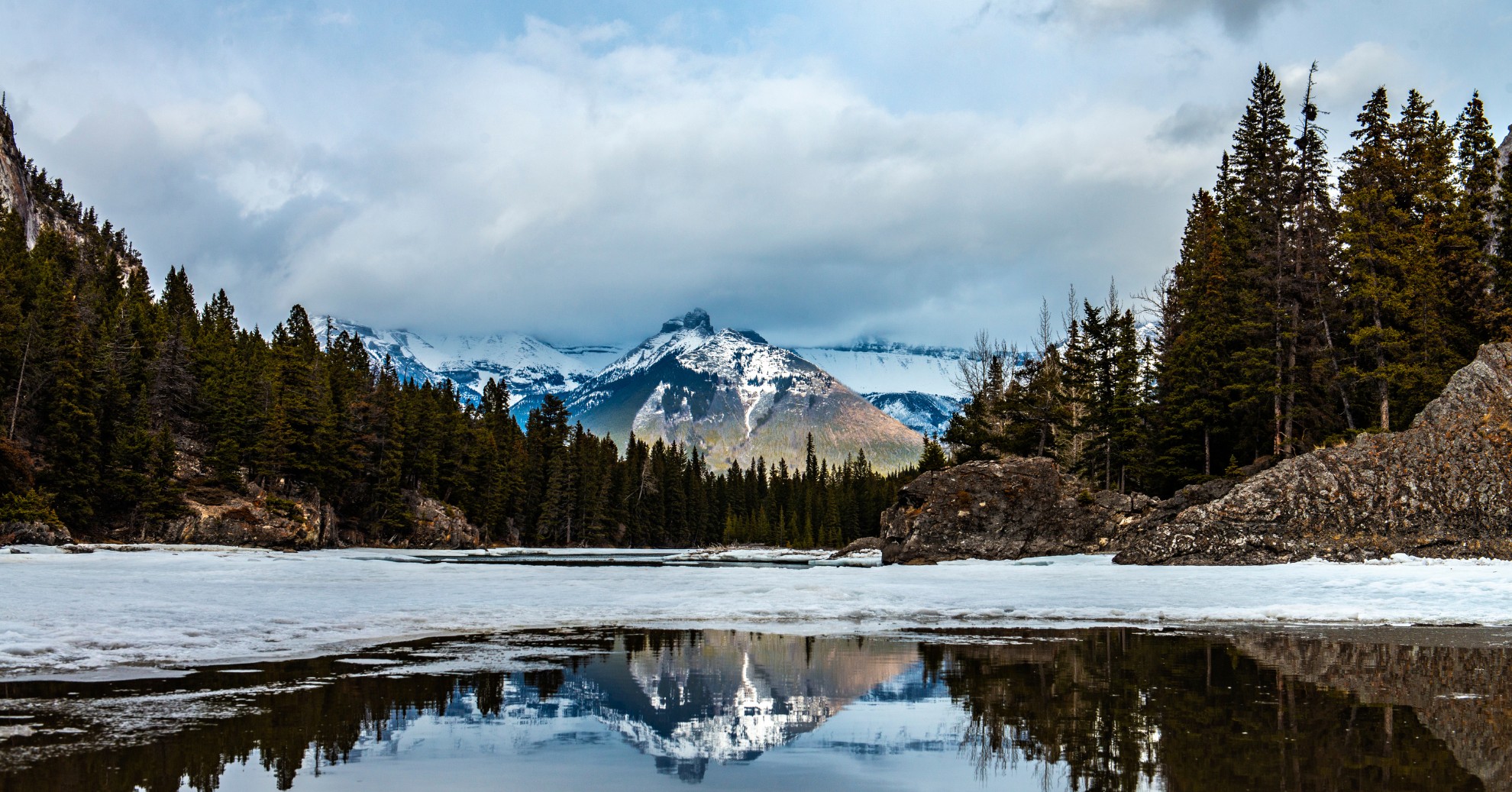 Celebrating the Movers and Shakers of Conservation: Nature Canada’s ...