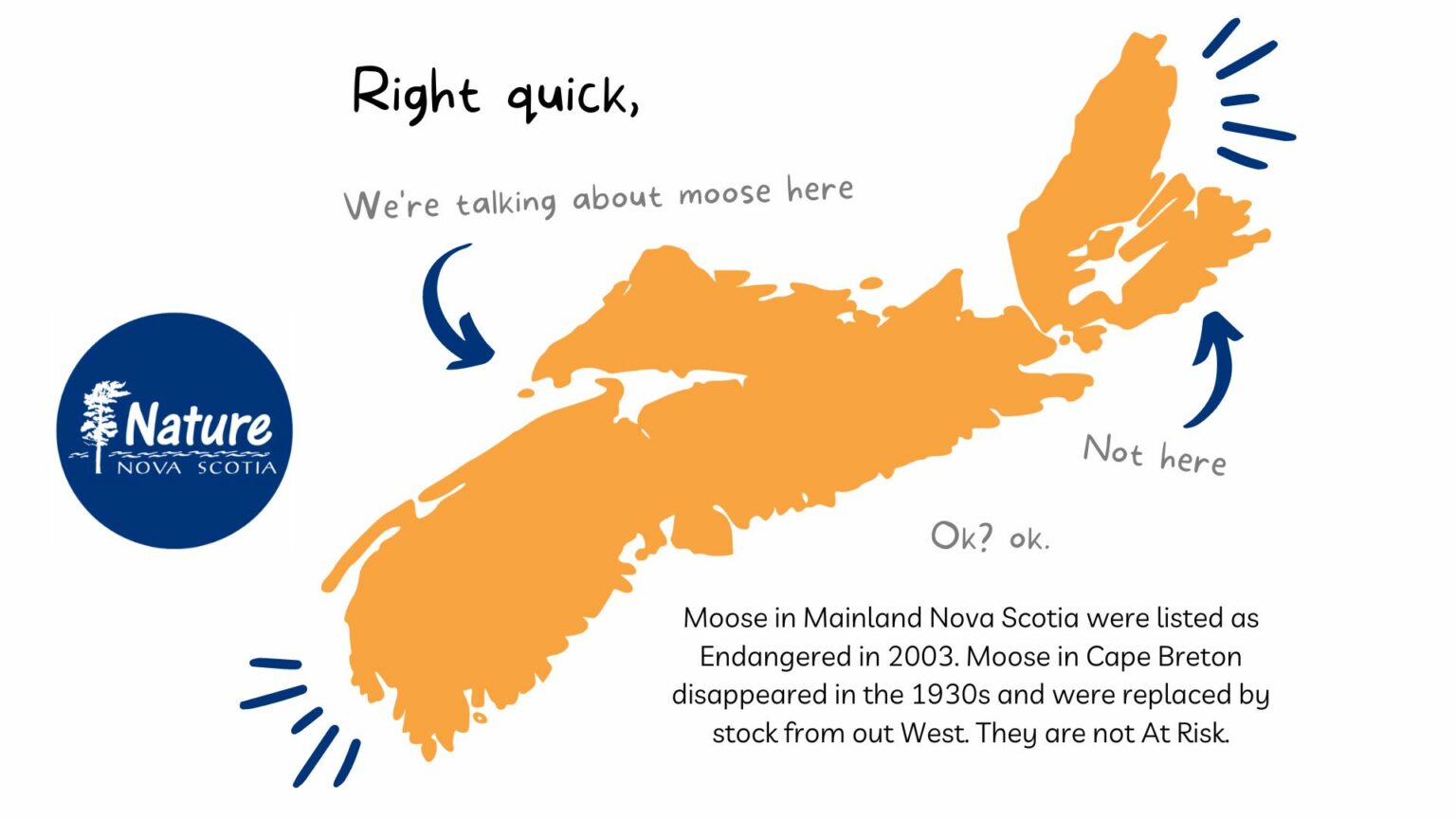 Saving the Mainland Moose of Nova Scotia - Nature Canada