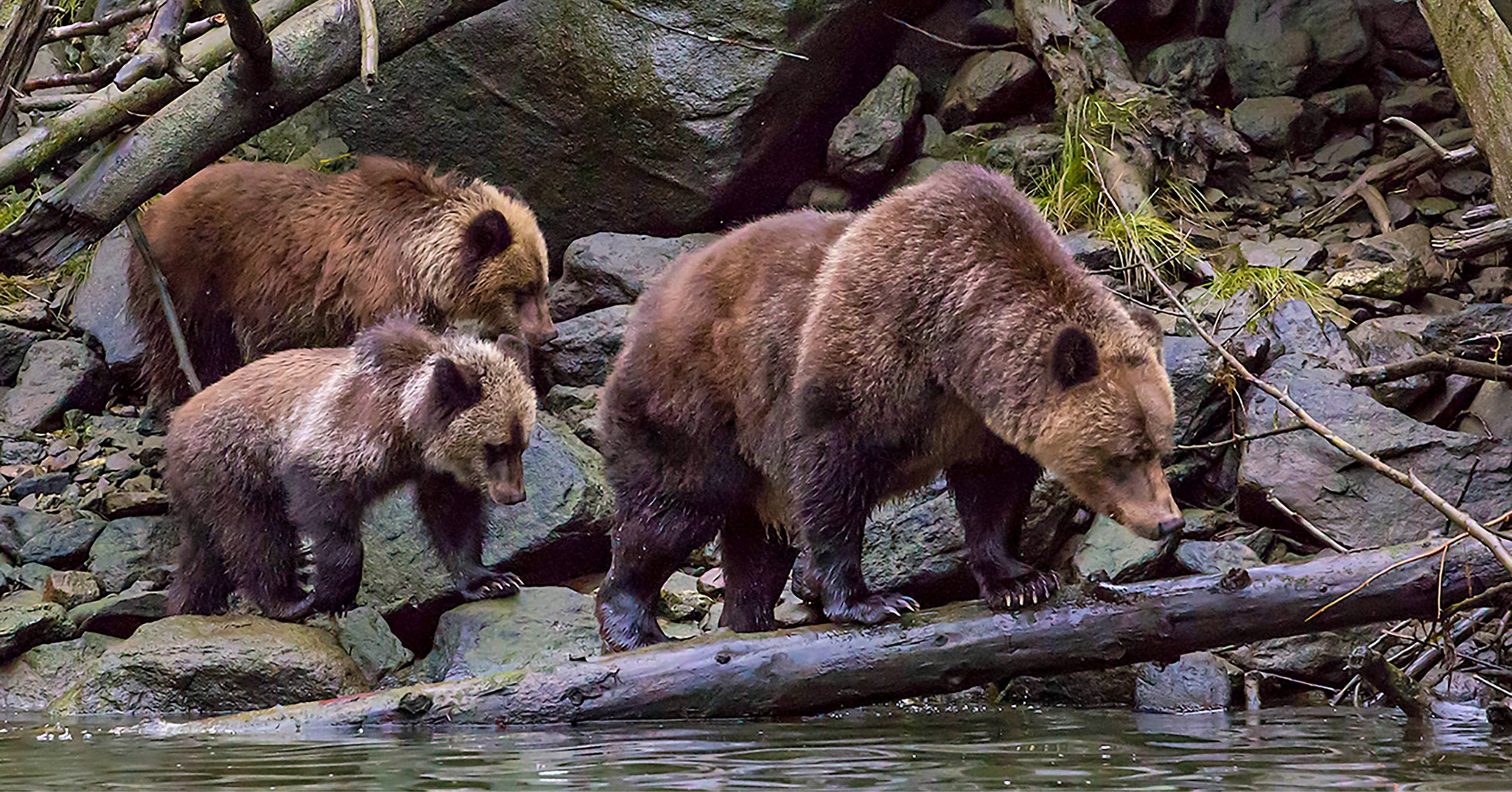 Generations of Generosity and Taking Action for Nature - Nature Canada