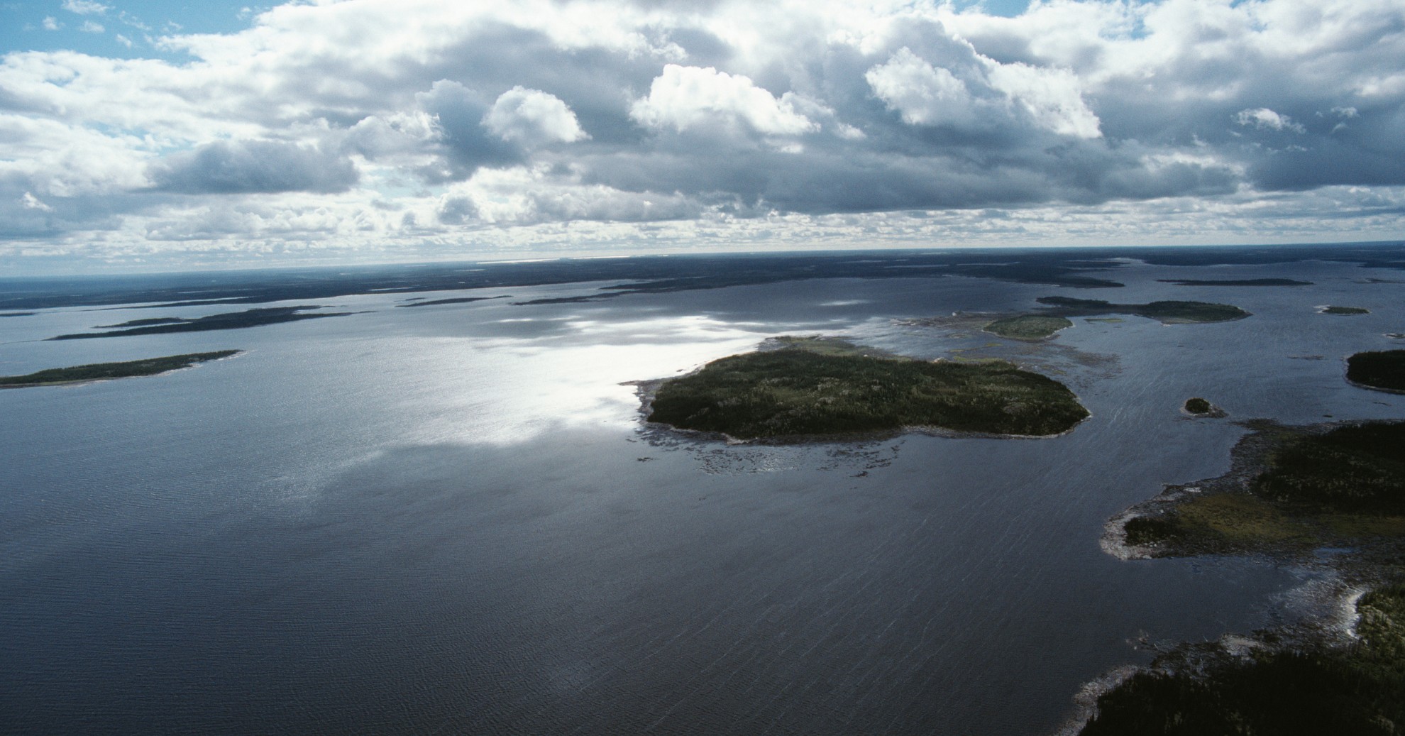 Where Nature and Knowledge Meet: Reflections from Eeyou Istchee and the ...