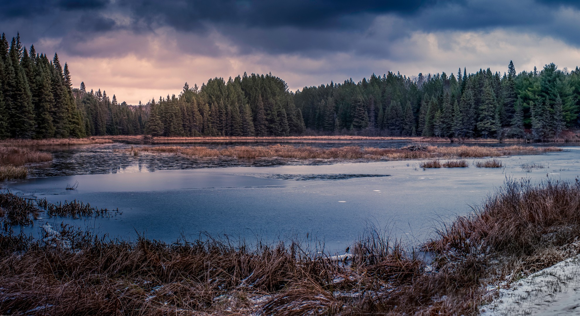 Nature Canada Annual Basic Assembly and Awards Celebration - JreWeb