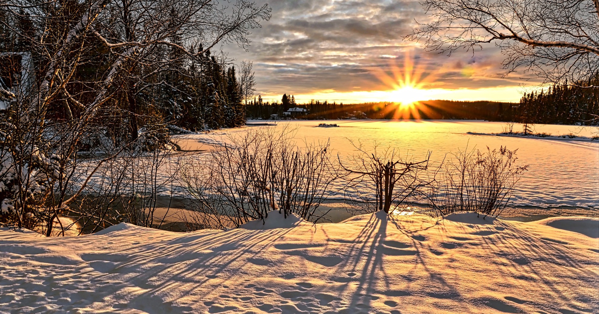 Nature Canada’s Award Winners for 2024: Celebrating Nature Champions ...