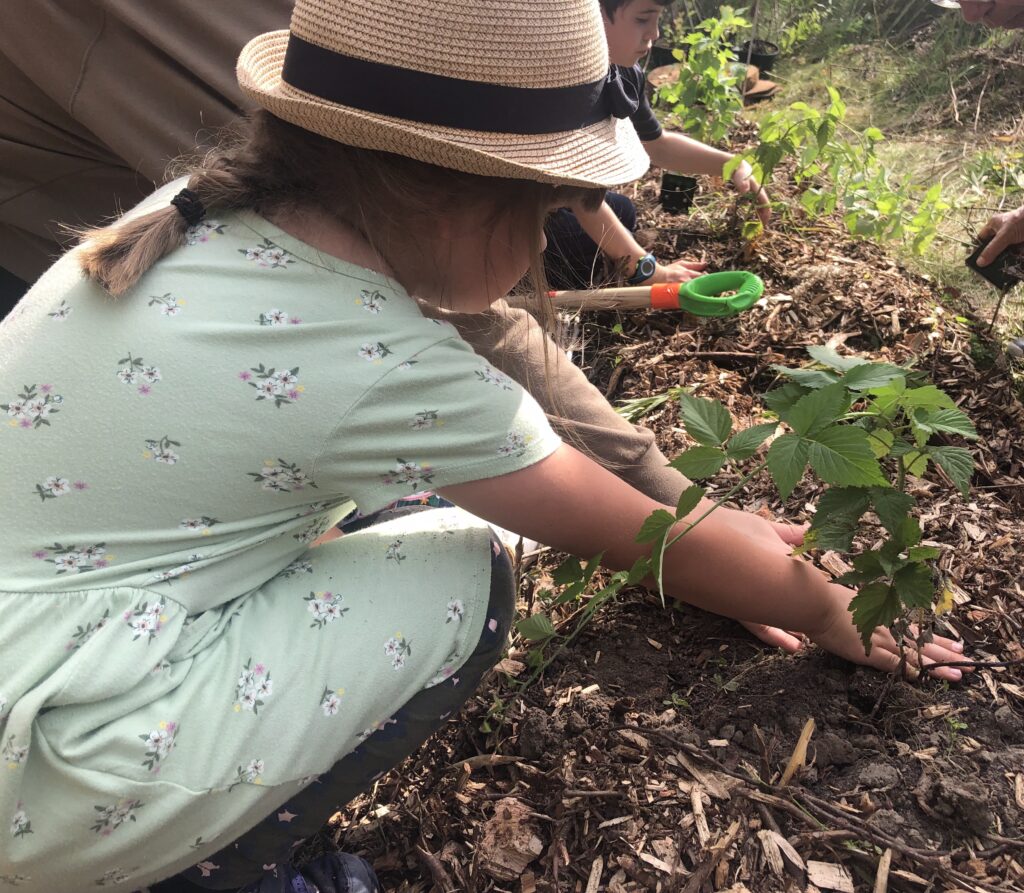 A Unique and Effective Way to Advance Reconciliation across Canada ...