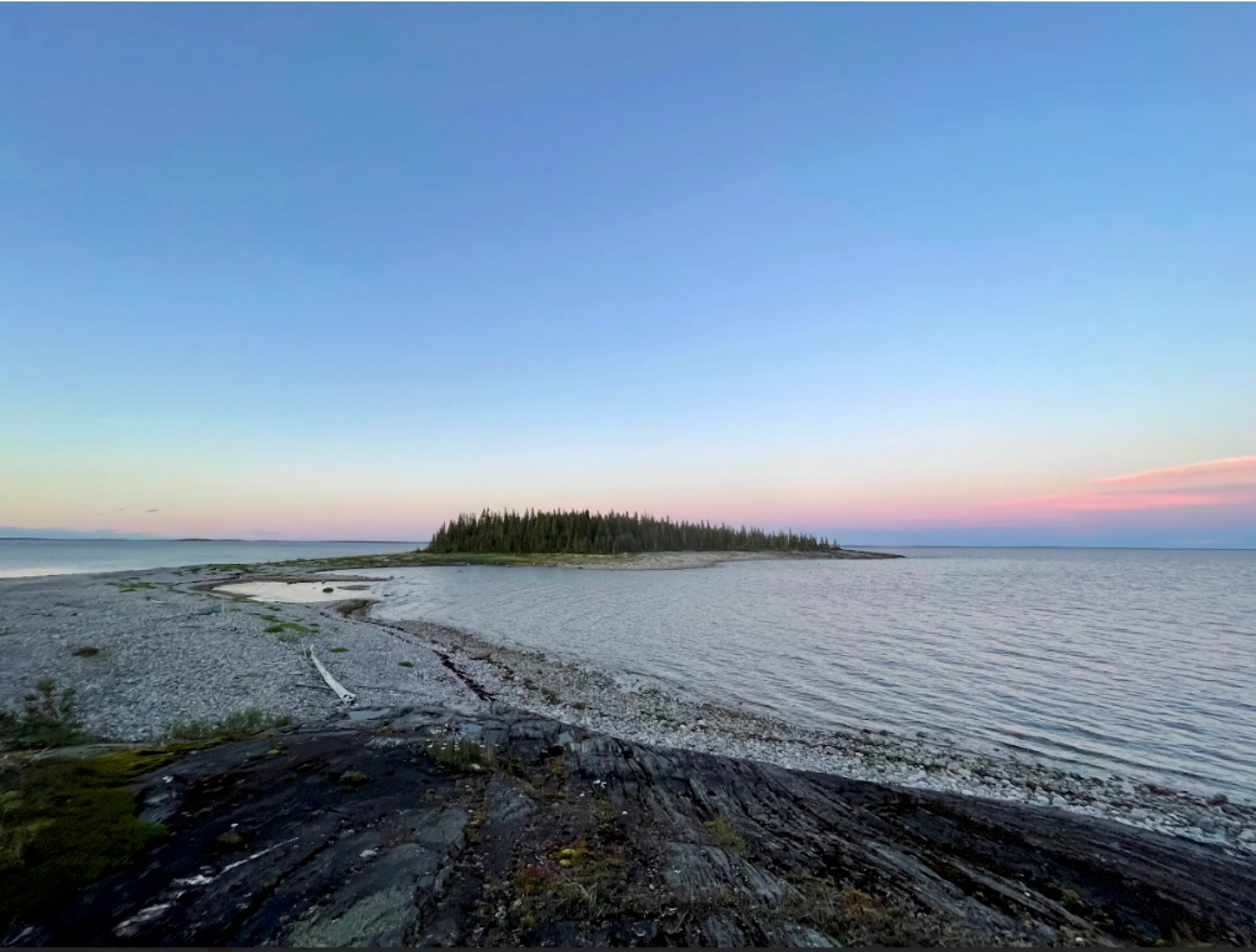 Protecting Shorebirds, One Stopover at a Time - Nature Canada