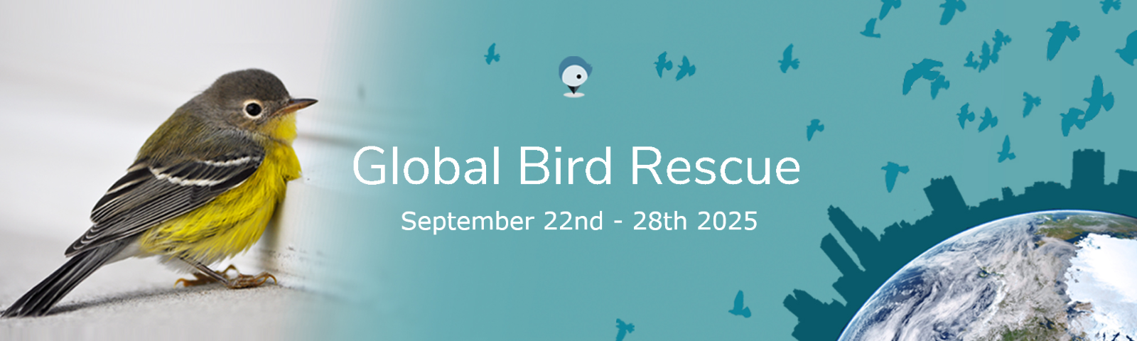 Group Science with a Actual Influence: World Chook Rescue 2025 - JreWeb