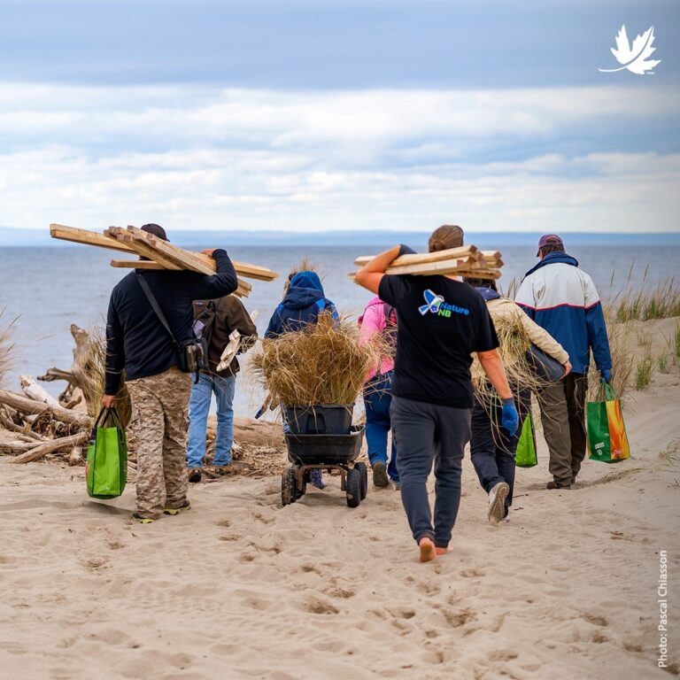 Nature Community Showcase: Nature NB – Advocating for ecosystem safety ...
