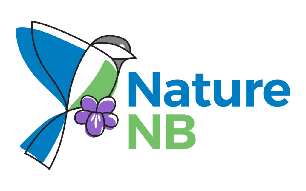 Nature Network Showcase: Nature NB – Advocating for ecosystem ...